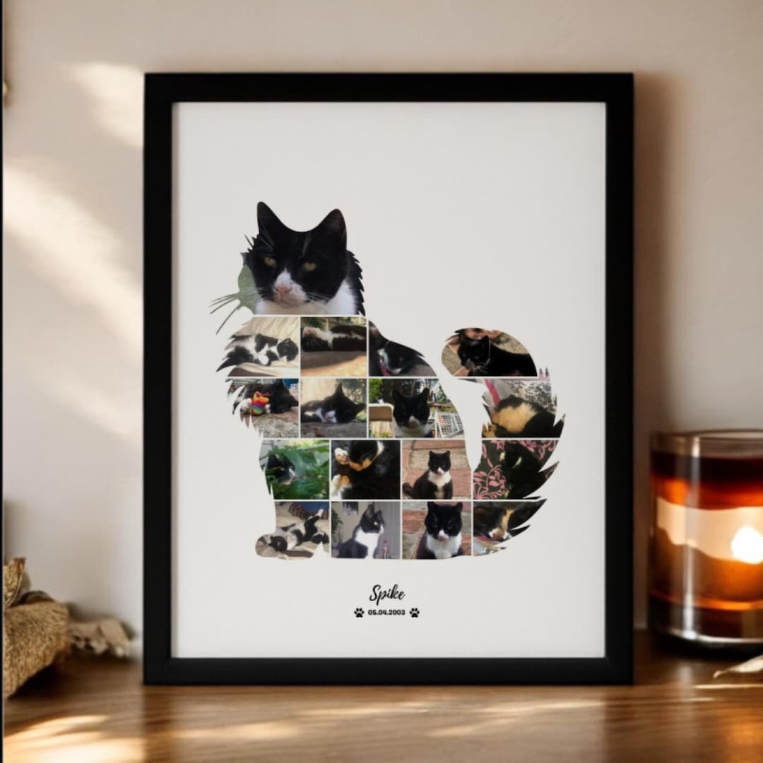 Personalised Fluffy Cat Photo Collage – Custom Pet Silhouette Print ...