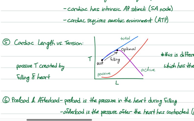 Cardiology Physiology Study Guides - Medical School - Etsy