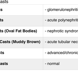 Nephrology Renal Pathology Study Guides - Medical School - Etsy