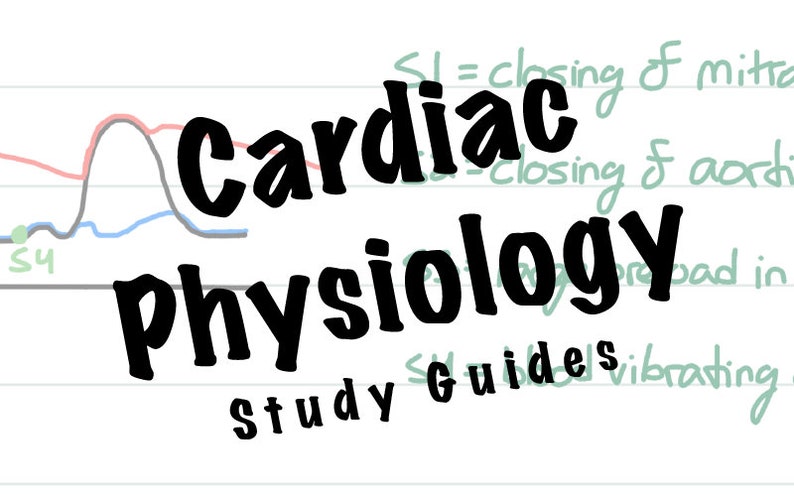 Cardiology Physiology Study Guides - Medical School - Etsy