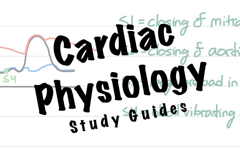 Cardiology Physiology Study Guides - Medical School - Etsy