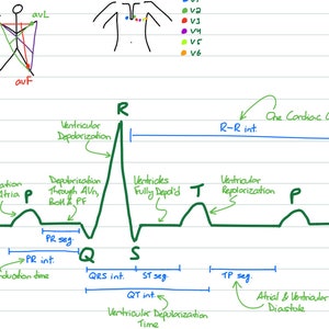 Cardiology Physiology Study Guides - Medical School - Etsy