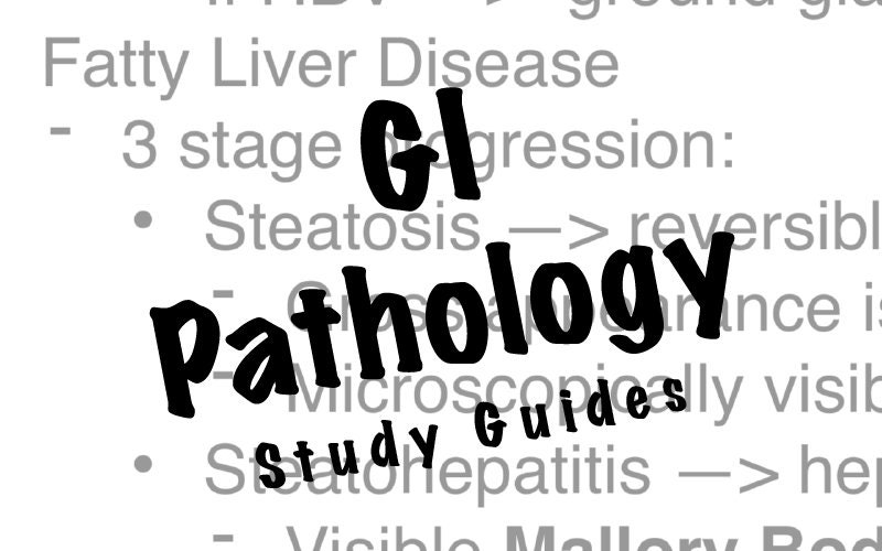 Gastrointestinal GI Pathology Study Guides - Medical School - Etsy