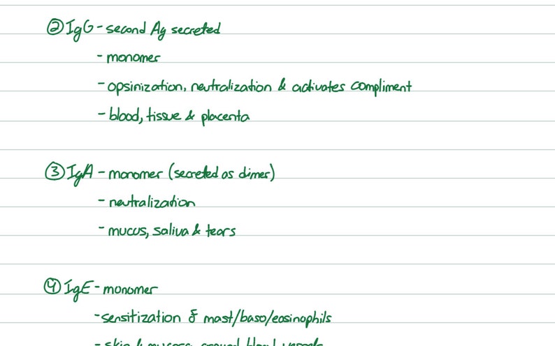 Immunology High-yield Study Guides - Medical School - Etsy