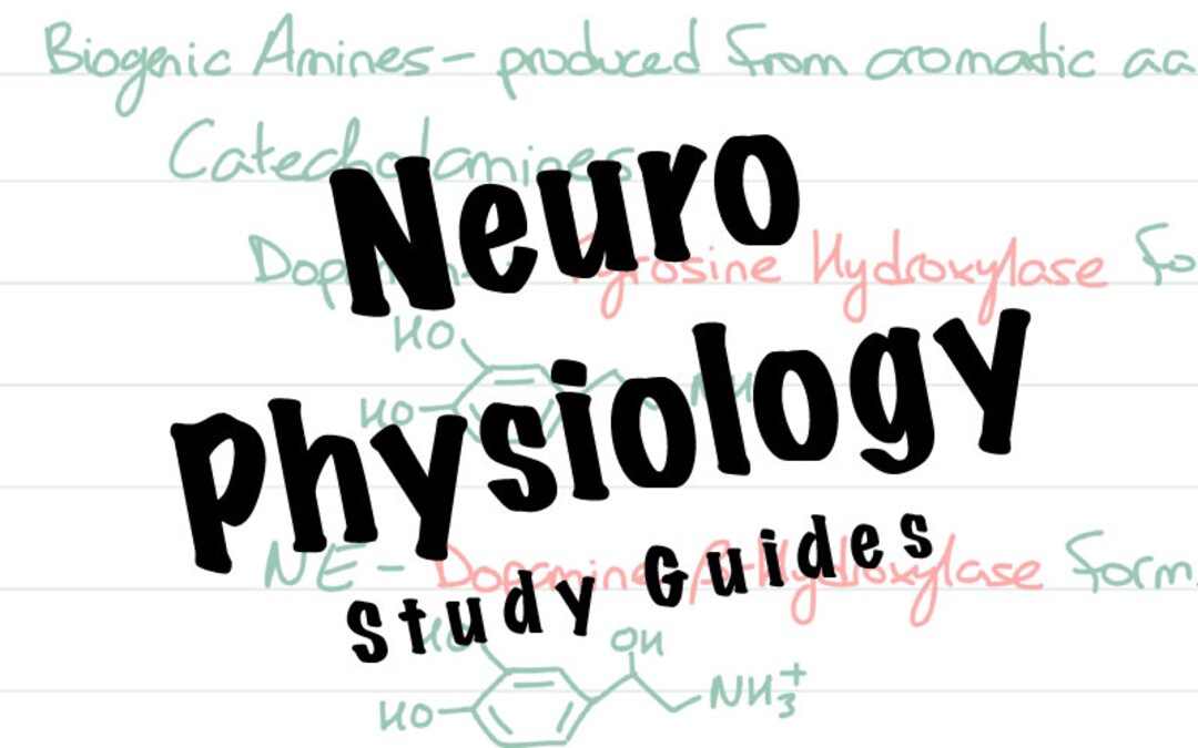 Neurology Neuro Physiology Study Guides - Medical School - Etsy