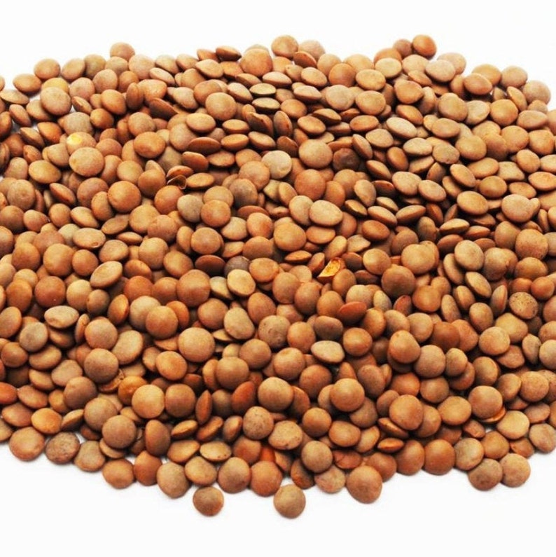Brown Lentils Whole Whole Lentils Unhulled Whole Masoor | Etsy