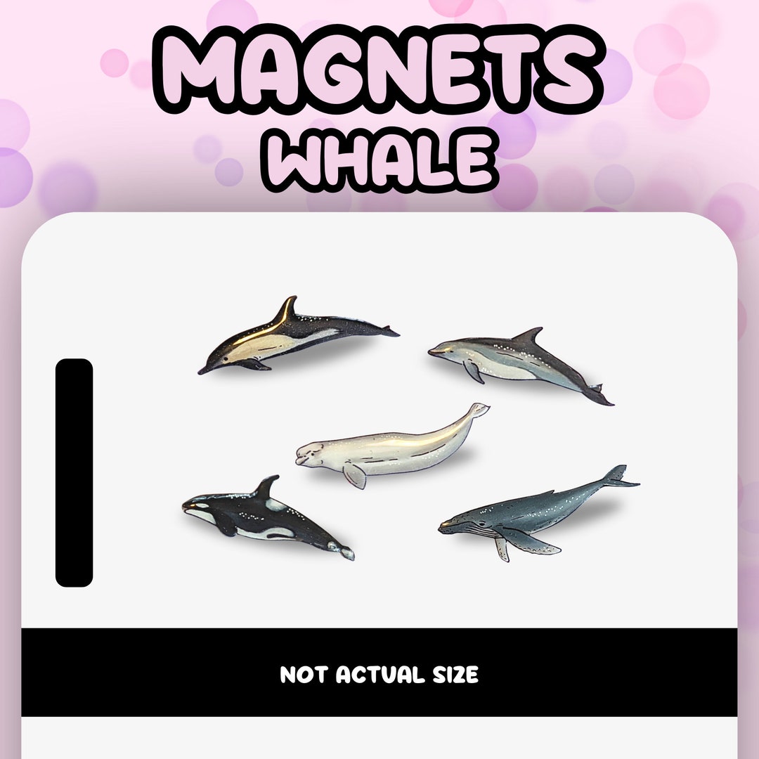 Whale Magnets Mix & Match From 5 Different Designs - Etsy