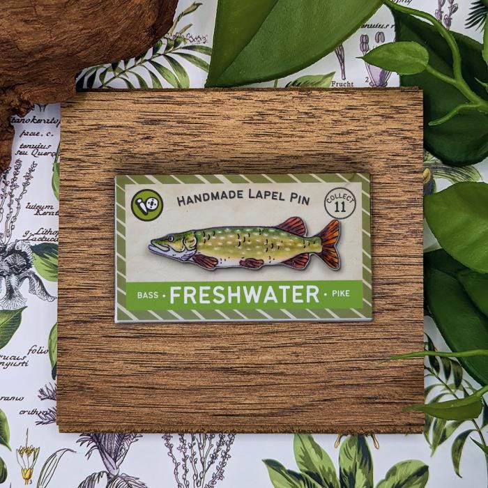 Northern Pike Fish Lapel Pin - Etsy