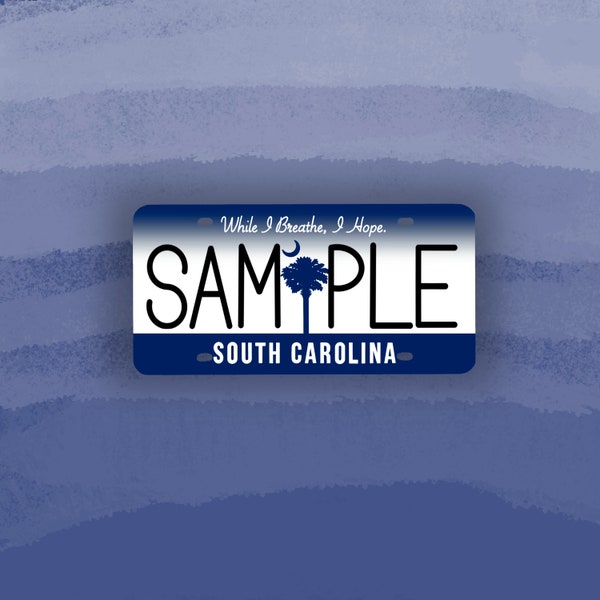 South Carolina License Plate - Etsy