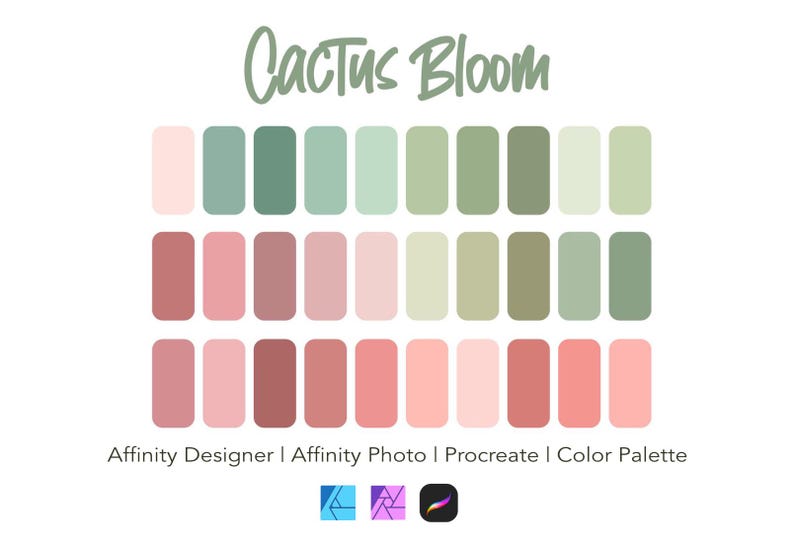 Affinity Designer Color Palette Bundle | Cactus Bloom | Color Swatches ...