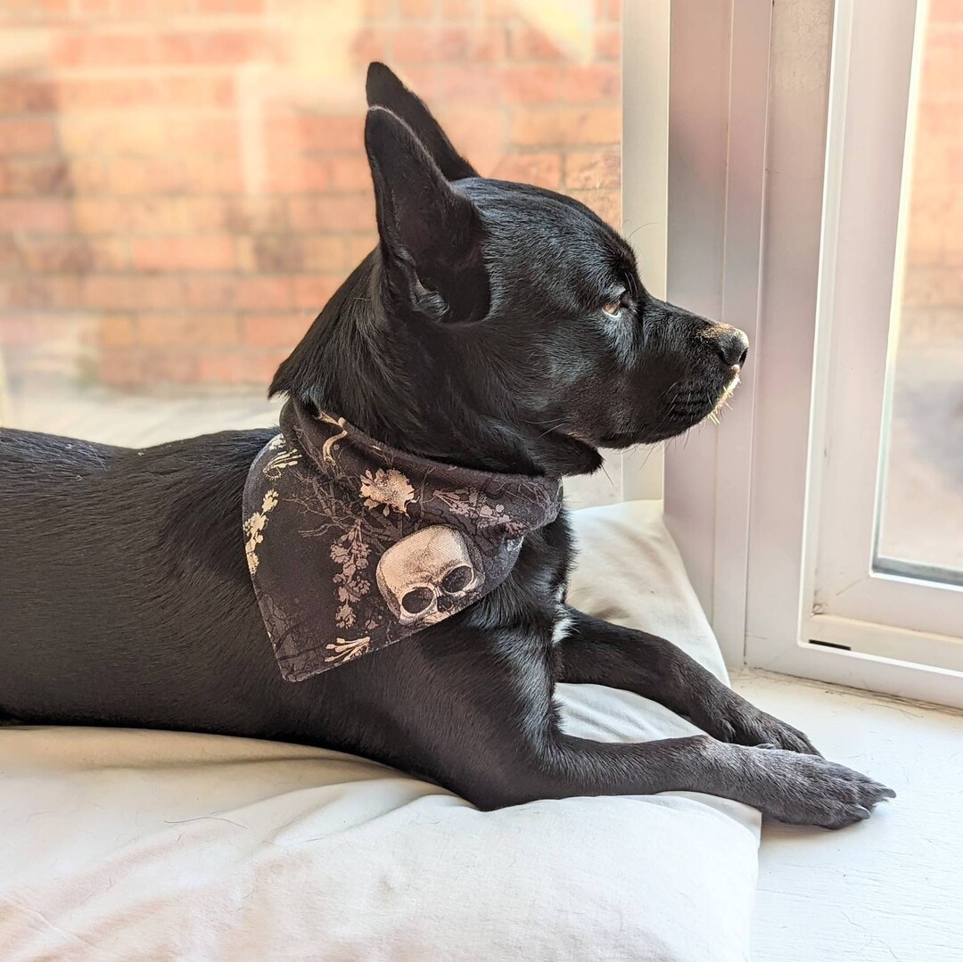 Skull and Crossbones Over the Collar Style Dog Bandanas - Etsy