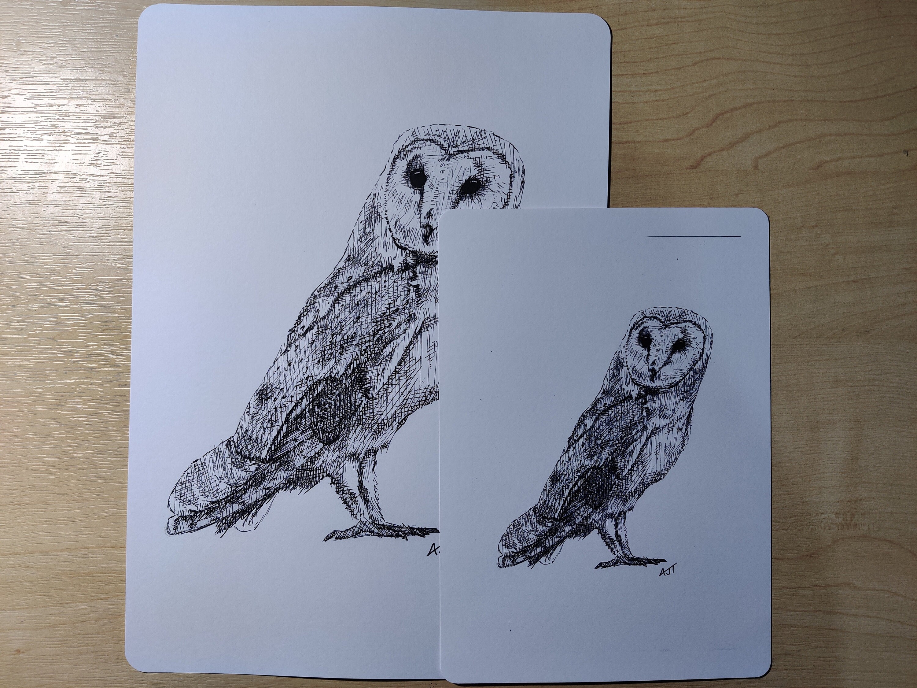 Pen and Ink Barn Owl Print - Etsy