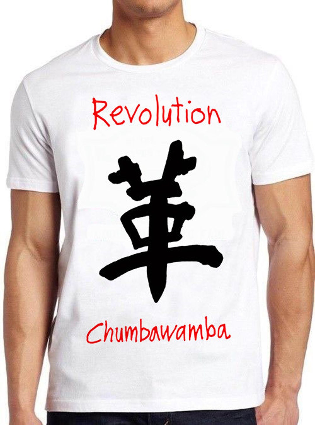 Chumbawamba T Shirt B3212 Revolution Punk Rock Music Retro Cool Top Tee ...