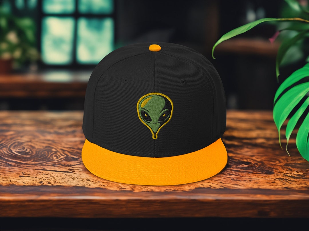 Alien Encounter Snapback Hat, Extraterrestrial Life Embroidered Wool ...