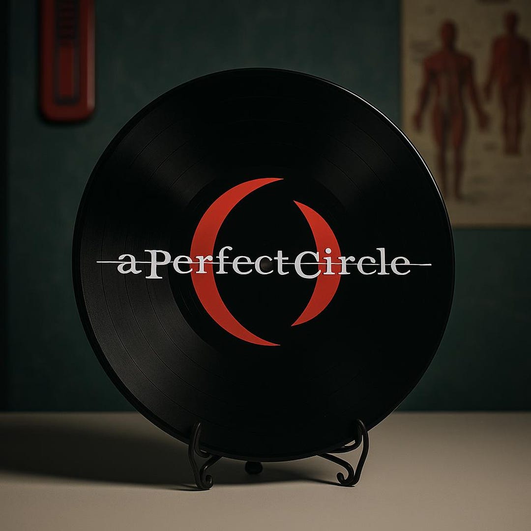 A Perfect Circle Vinyl Record Art – Upcycled 12" LP With Iconic Logo ...
