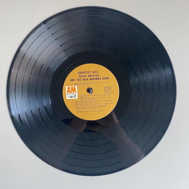 SZA Ctrl Album Vinyl Record Wall Art - Etsy