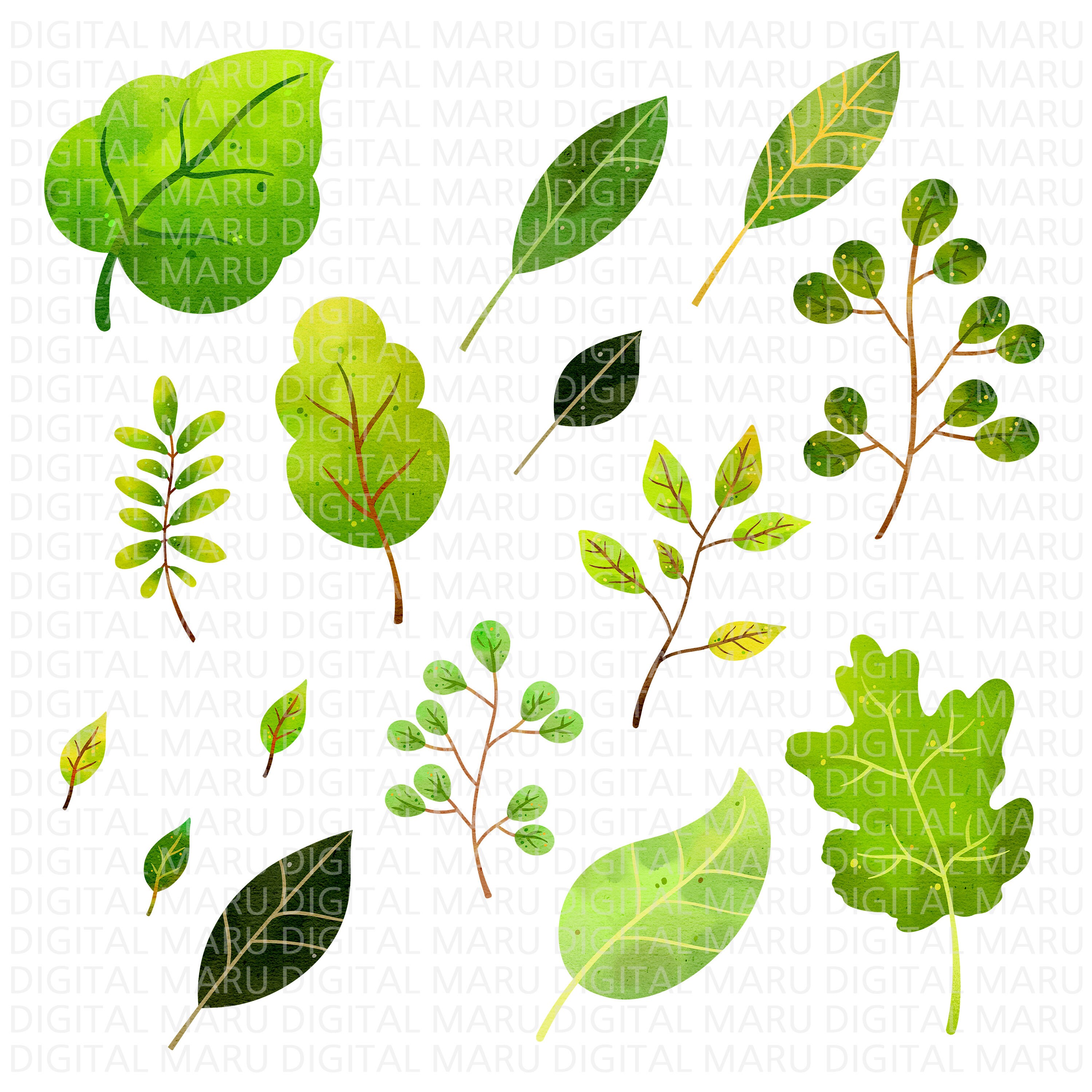 Watercolor Leaves Clipart / Green Leaves Clipart / Green Leaf Clipart ...