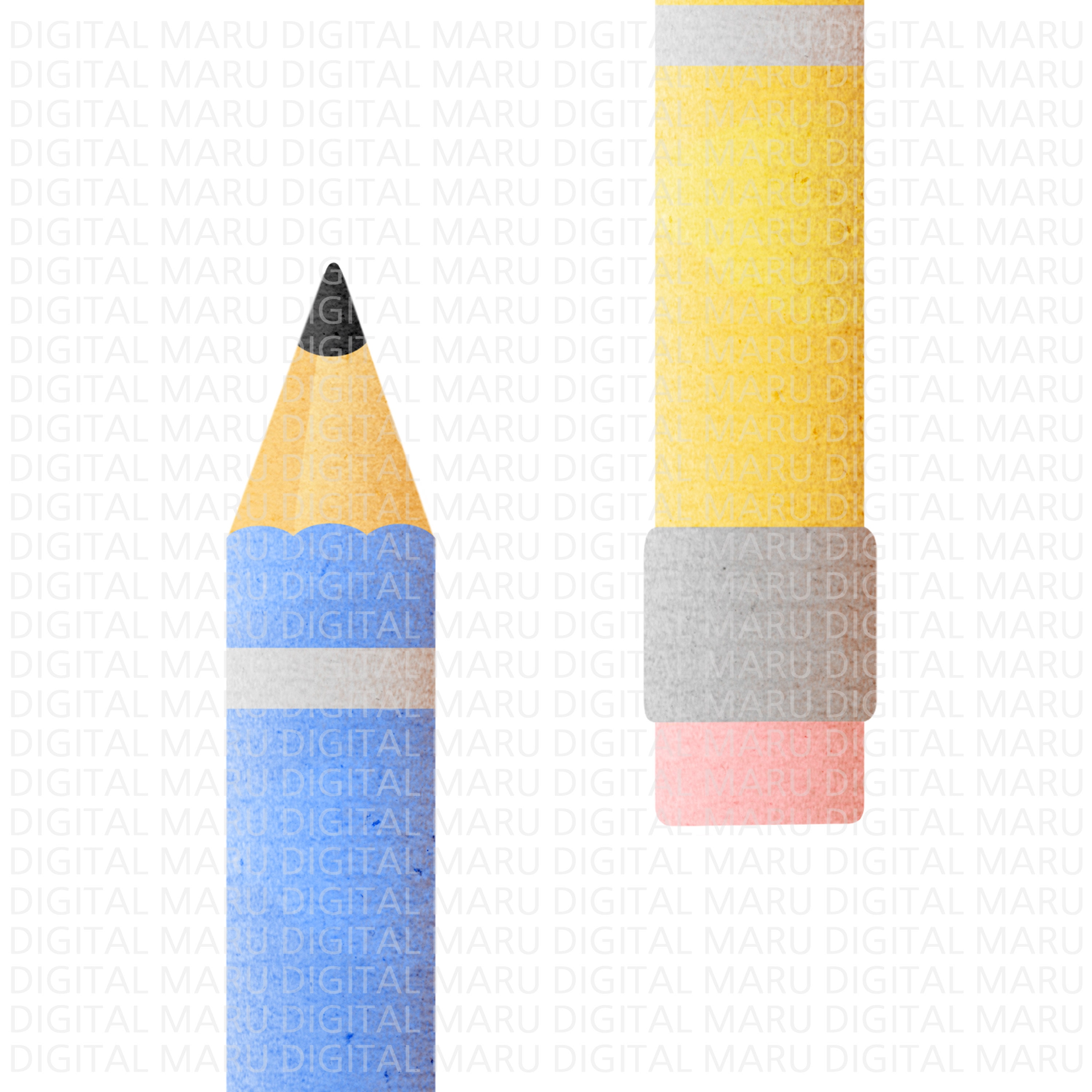Watercolor Colored Pencils Clipart / Watercolor School Item / Art ...