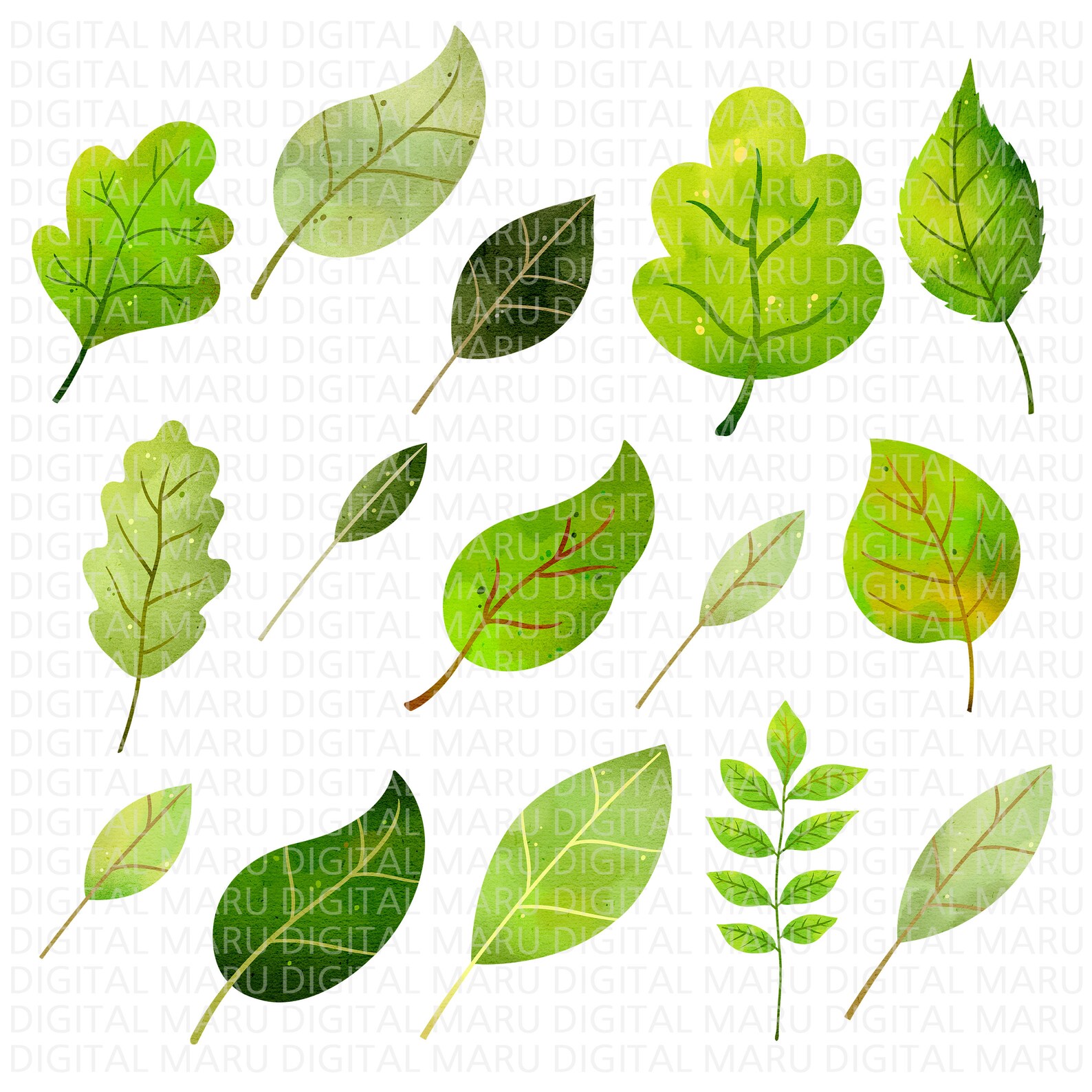 Watercolor Leaves Clipart / Green Leaves Clipart / Green Leaf Clipart ...