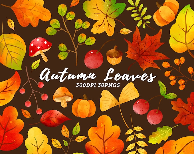 Autumn Leaves Clipart 10 High Quality Jpgs Digital Download Autumn ...