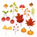 Watercolor Autumn Leaves Clipart / Fall Leaves Clipart / Autumn Clipart ...