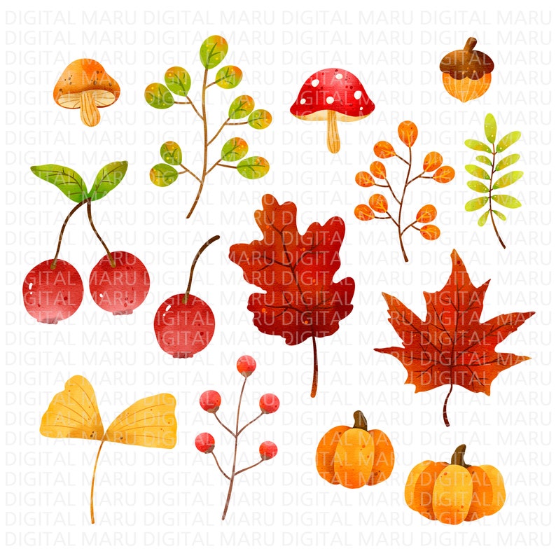 Watercolor Autumn Leaves Clipart / Fall Leaves Clipart / Autumn Clipart ...