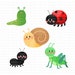 Watercolor Bugs Clipart / Cute Insect Download / Watercolor Cute Snail ...