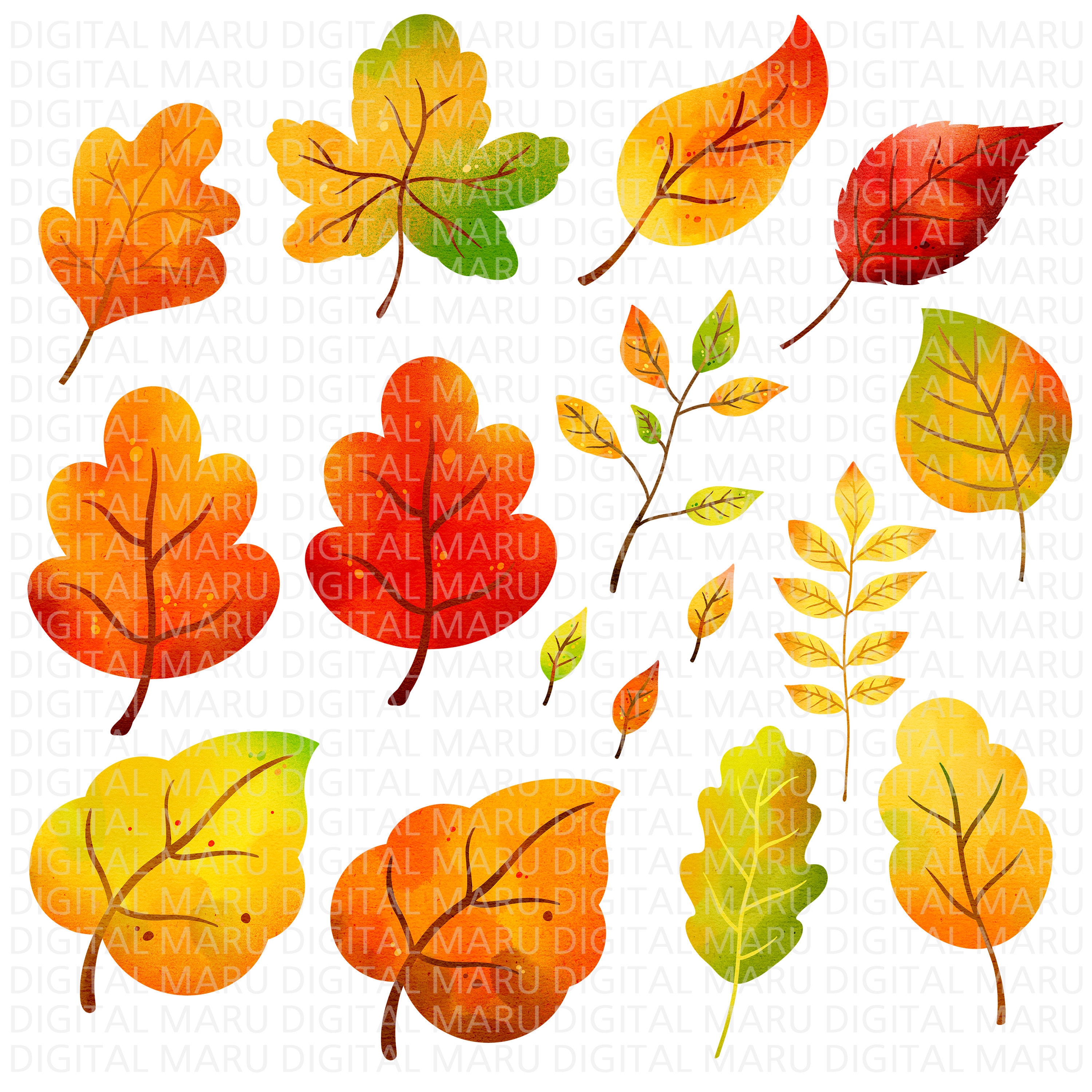Watercolor Autumn Leaves Clipart / Fall Leaves Clipart / Autumn Clipart ...