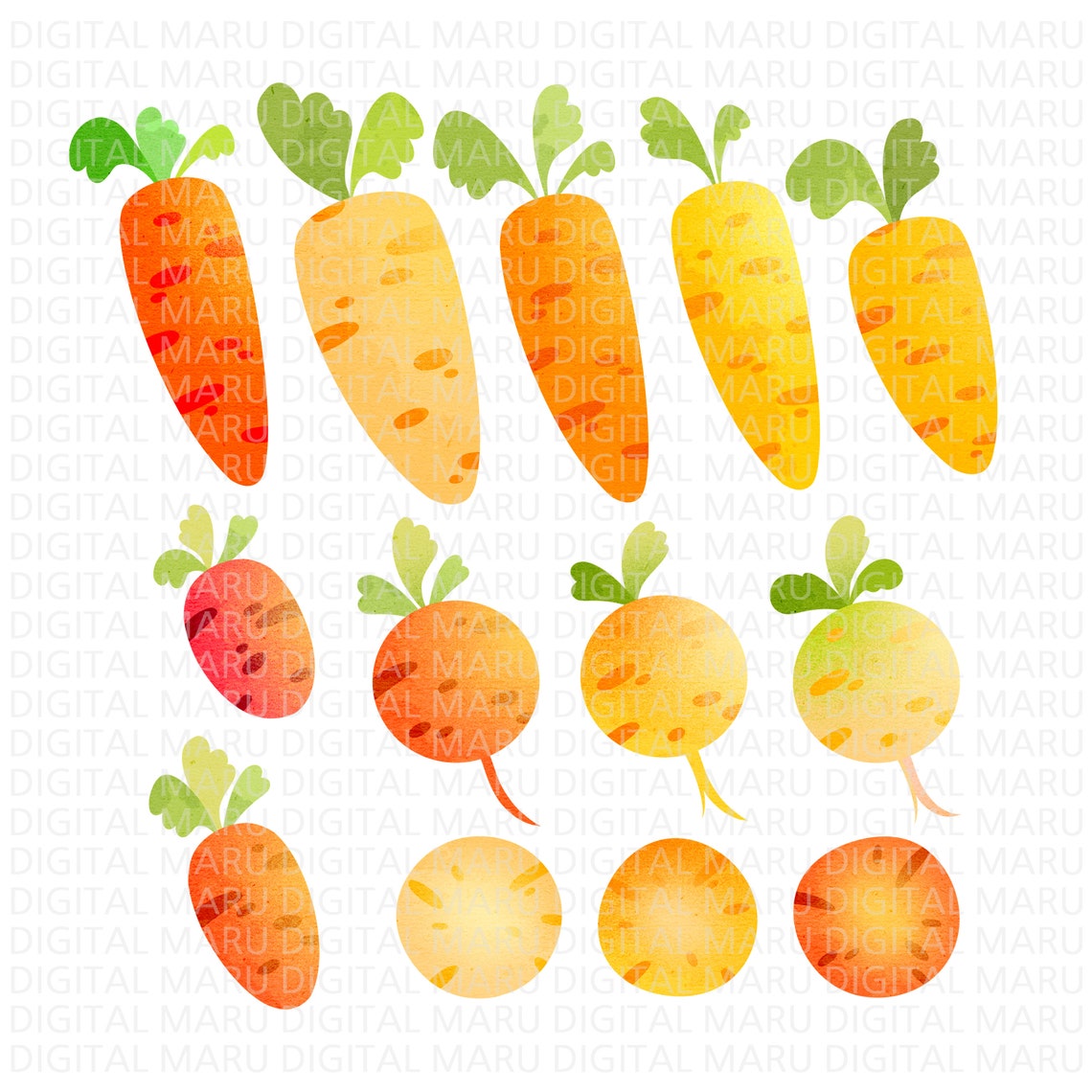 Watercolor Carrots Clipart / Cute Rabbit Graphics / Veggies - Etsy