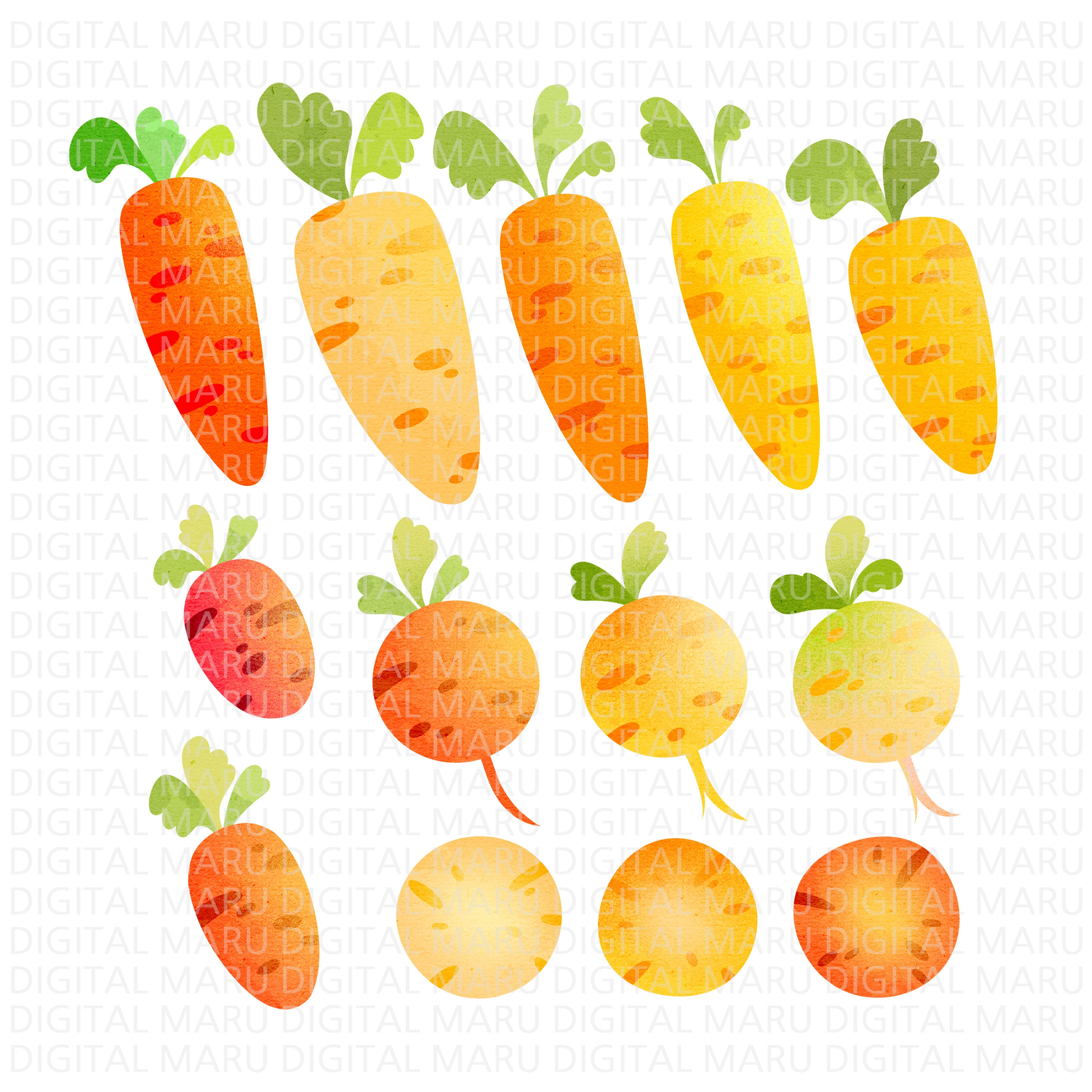 Watercolor Carrots Clipart / Cute Rabbit Graphics / Veggies - Etsy