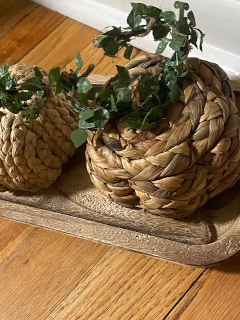Farmhouse Style Pumpkins Set of 3 Braided Straw Pumpkins With Foliage ...