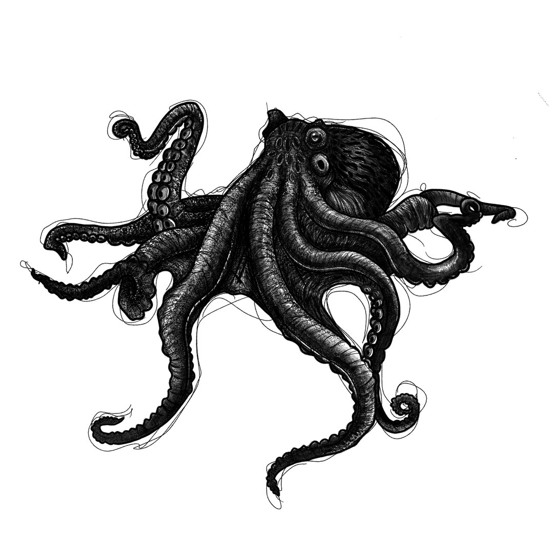 The Lone Octopus octopus Drawing, Sketch, Print, Dark, Art, Hand Drawn ...