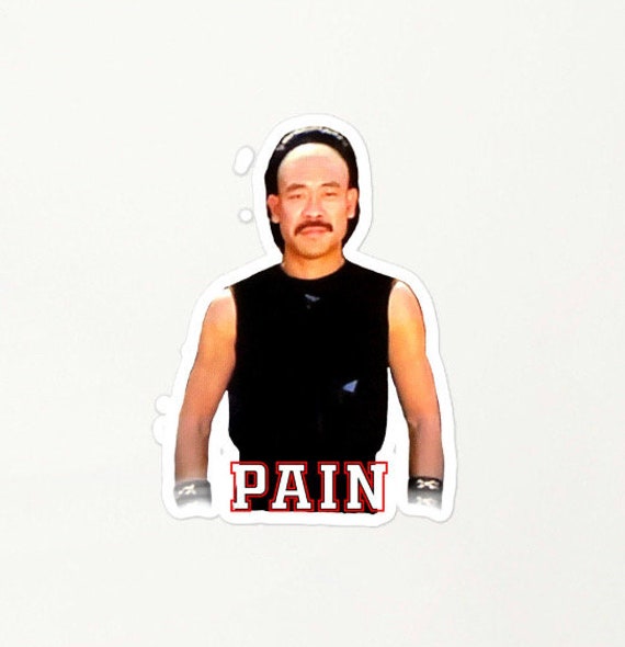 Master Pain Kung Pow
