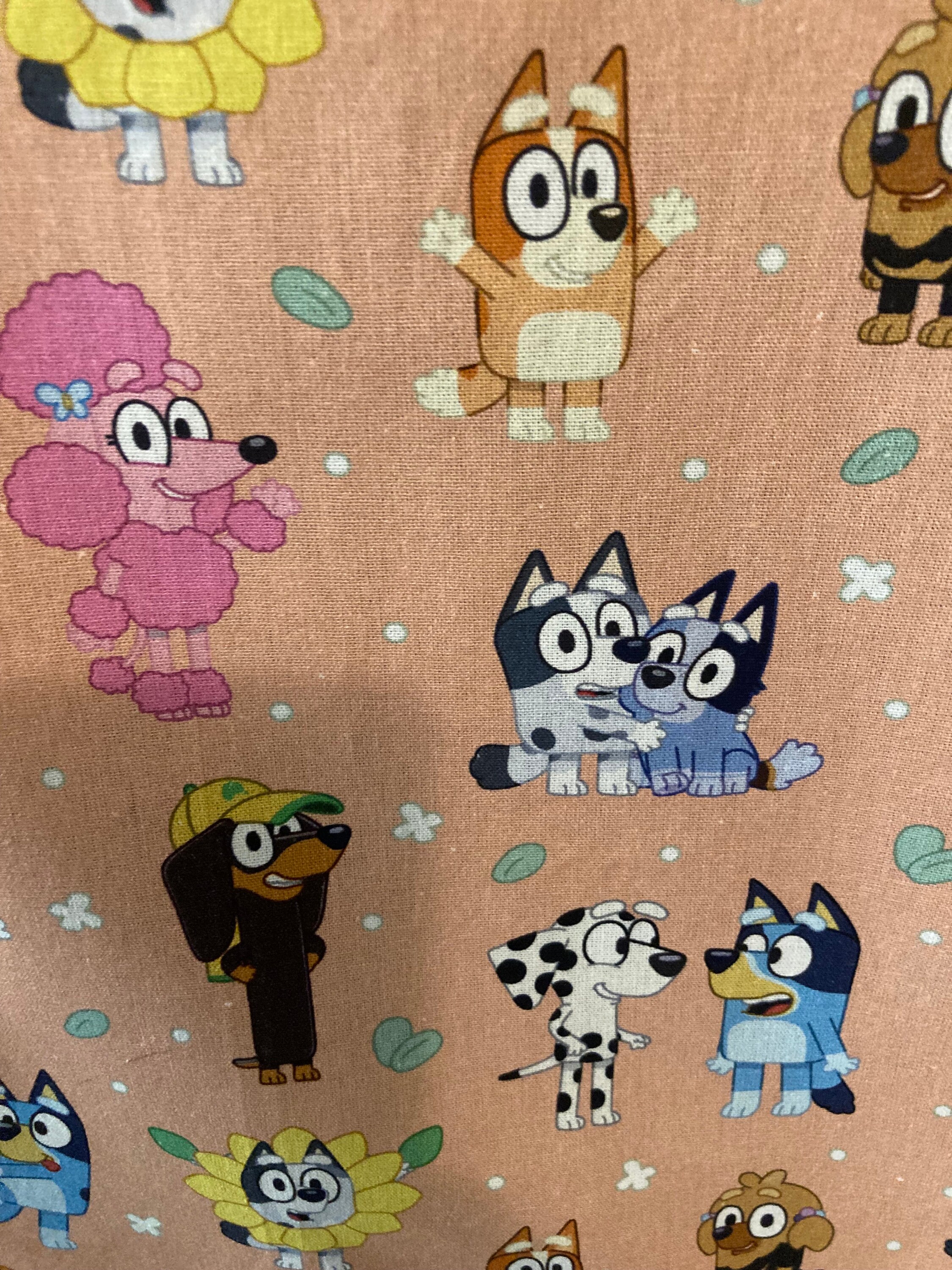 Handmade Bluey Library / Tote Bag - Etsy