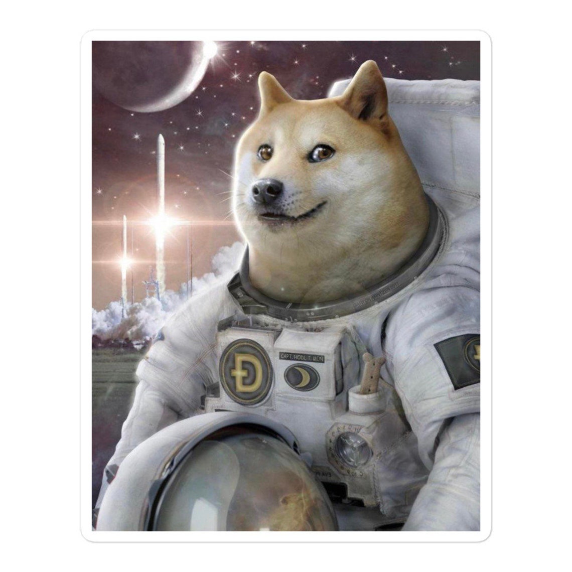 Doge Astronaut Sticker - Etsy