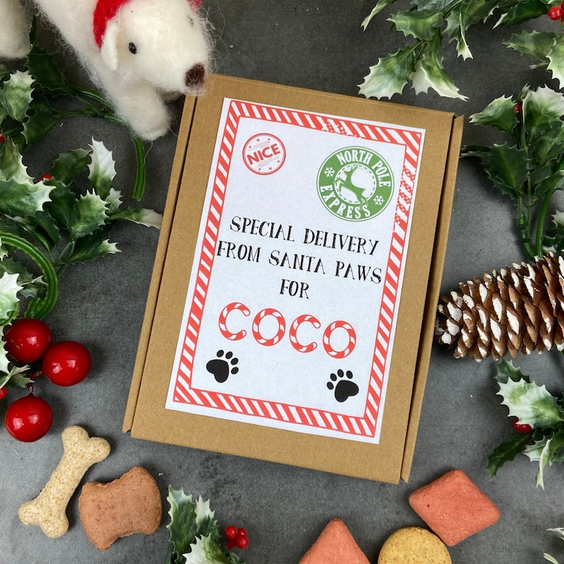Dog Gift Box - 60+ Gift Ideas for 2024