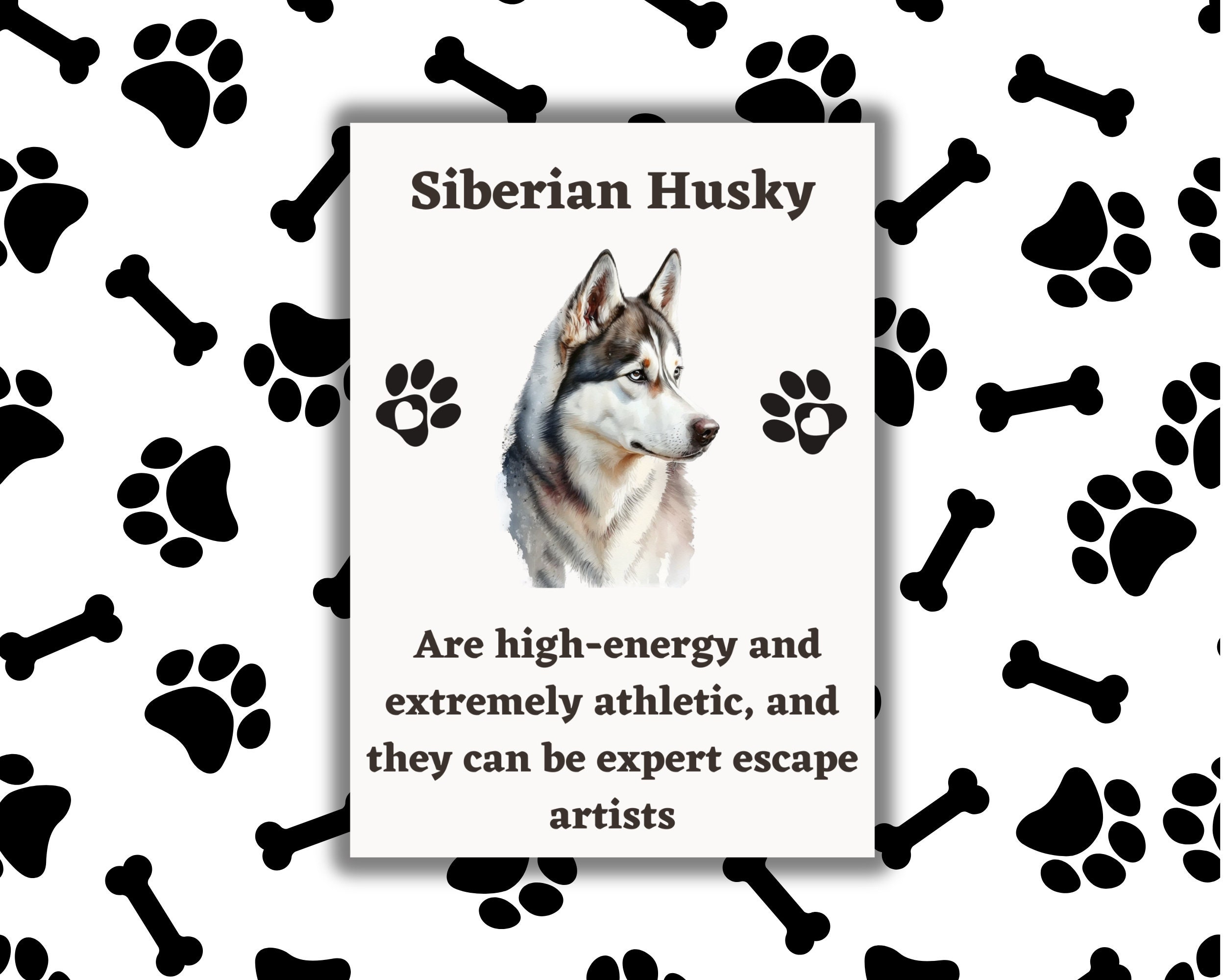 Siberian Husky Dog Art Greetings Card, Personalized Card, Animal Card ...