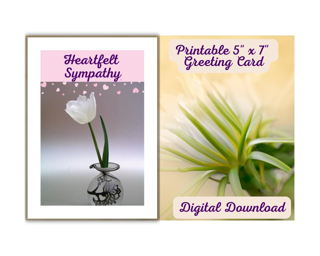 Sympathy Card Condolence Greeting Card 5"x7" Sympathy Sorry Your Loss ...