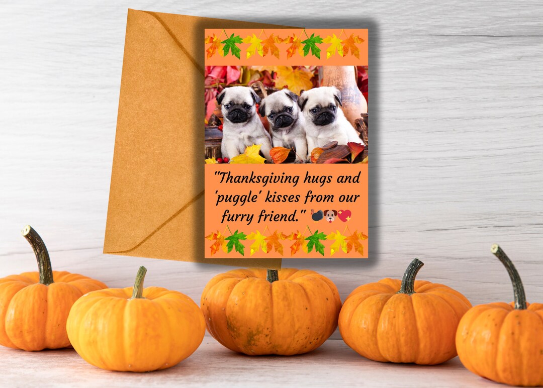 Pug-tastic Thanksgiving Hugs Puggle Kisses From Our Furry Friends ...