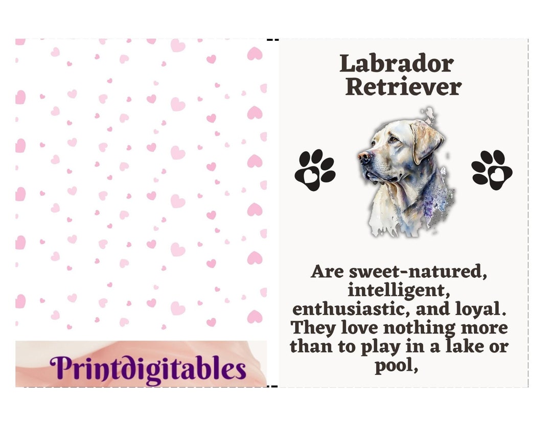 Labrador Retriever Dog Art Greetings Card, Personalized Card, Animal ...