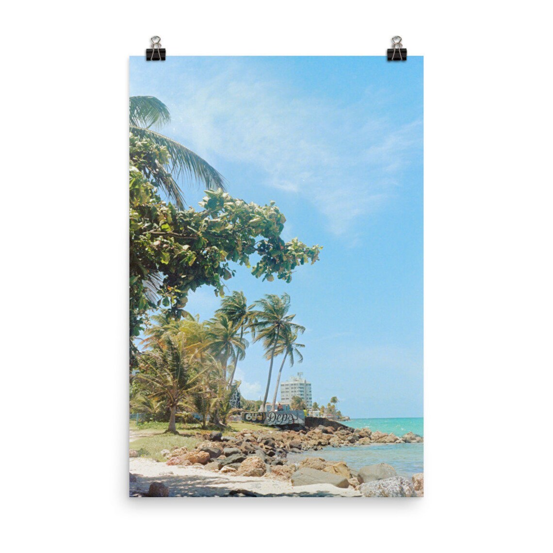 Palm Trees & Graffiti at Isla Verde Puerto Rico on 35mm Color Film Wall ...