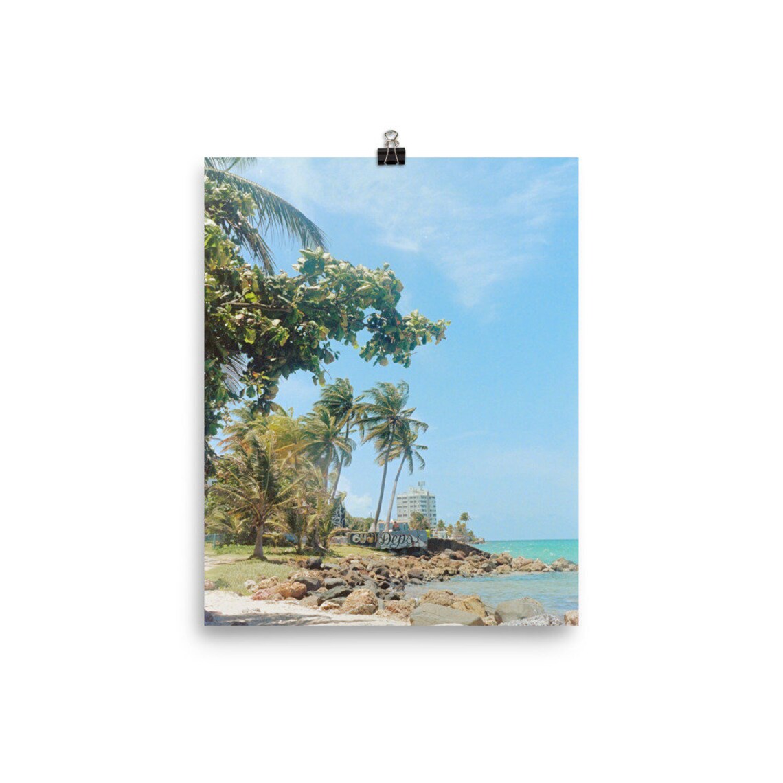 Palm Trees & Graffiti at Isla Verde Puerto Rico on 35mm Color Film Wall ...