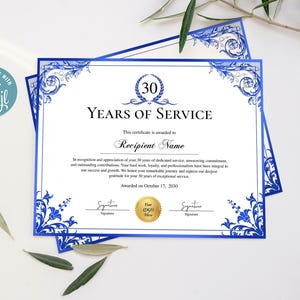 30 Years of Service Anniversary Award, Employee Recognition Editable ...