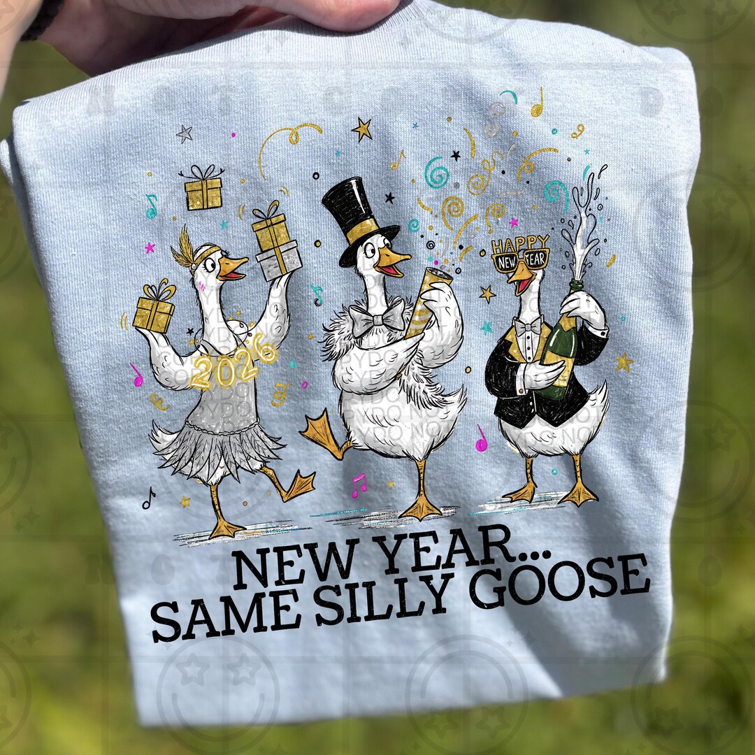 New Year Same Silly Goose NYE 2026 Party Geese PNG - Etsy