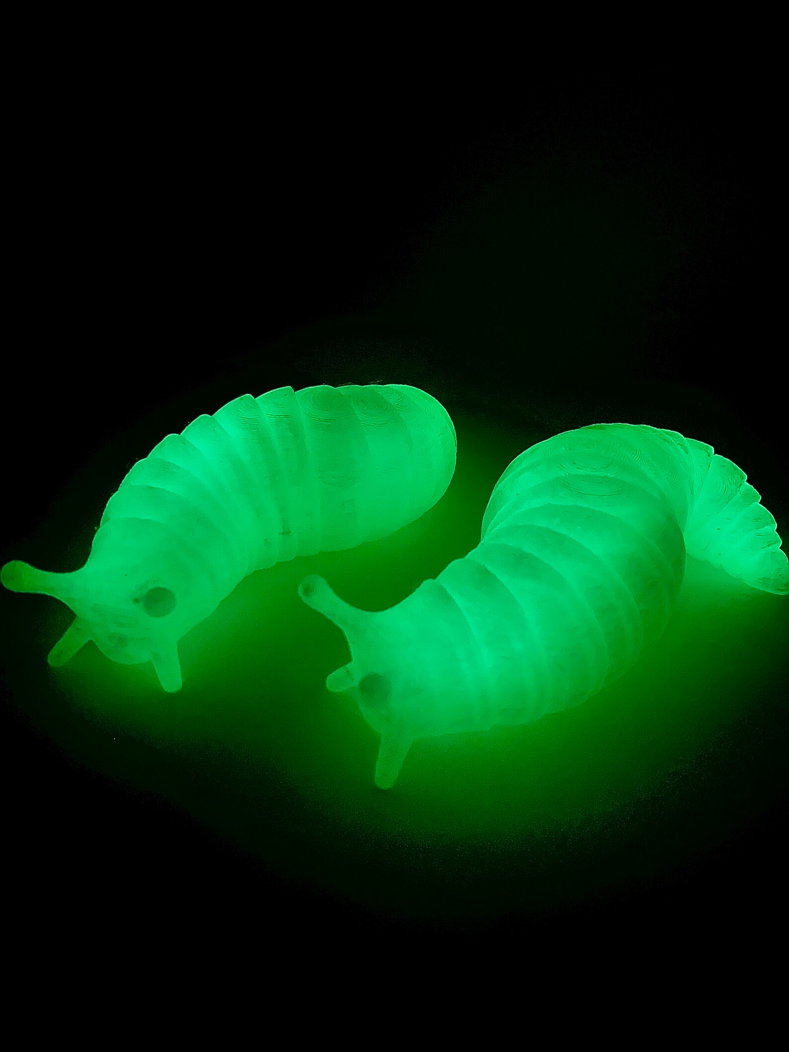 GLOW SLUG Glow in the Dark Fidget Slug Includes LED | Etsy