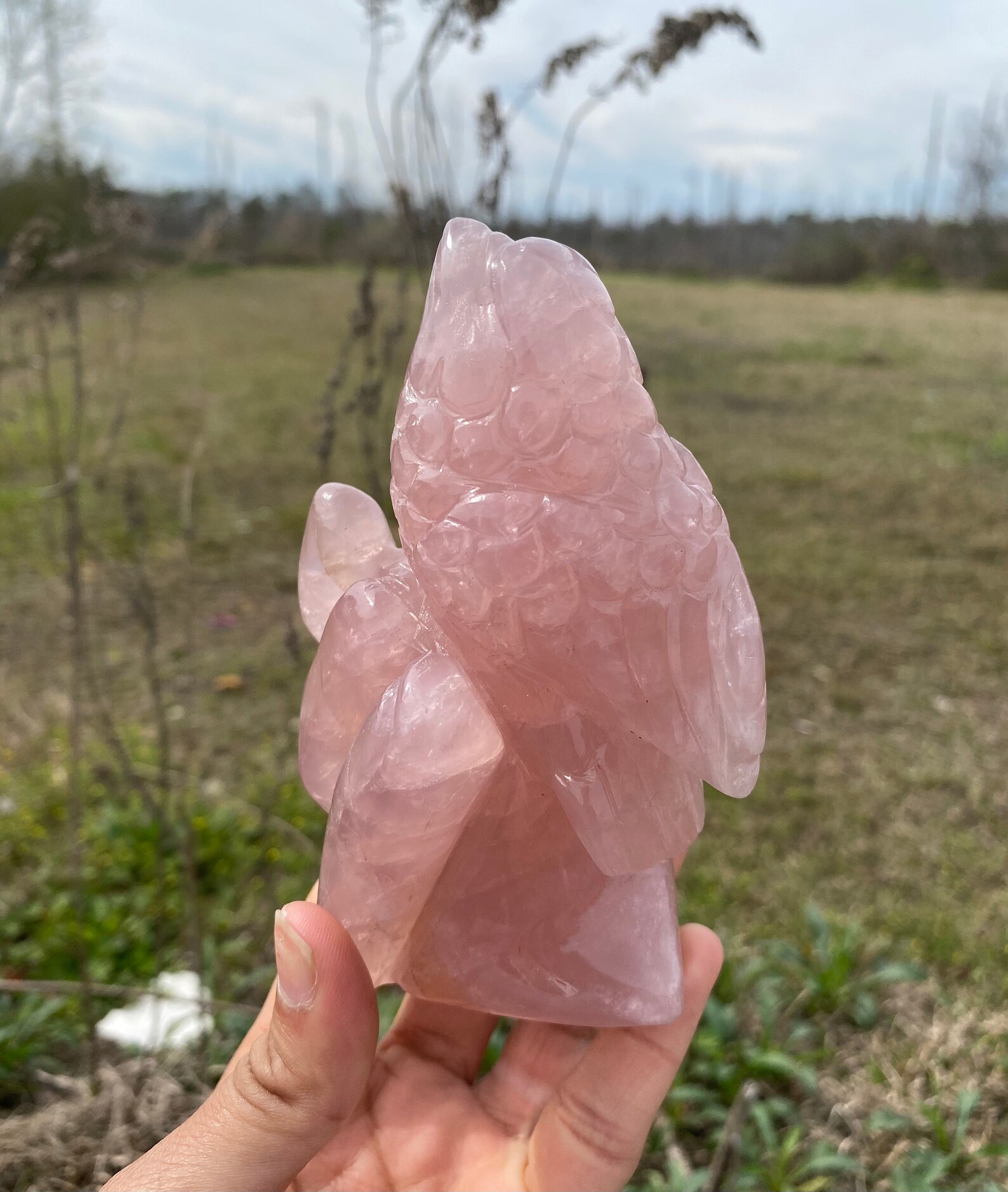 Unique Rose Quartz Natural Stone Bird Figurine 574 GMs | Etsy