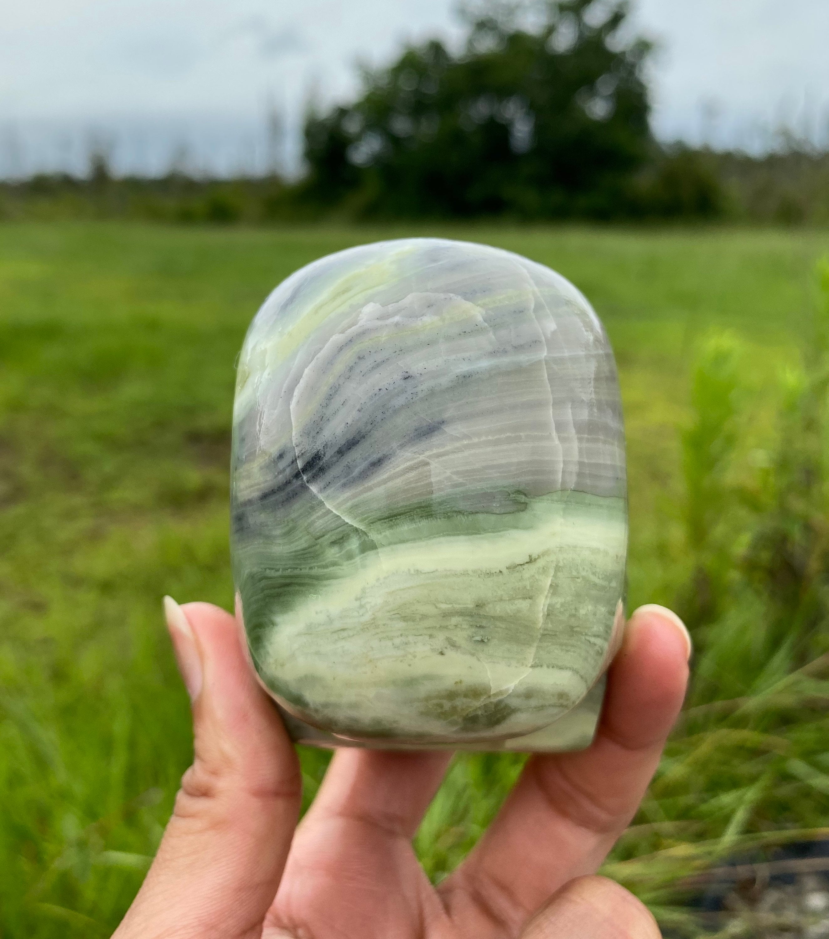 Serpentine Skull / Labradorite Crystal Skull / Skull Decor / | Etsy