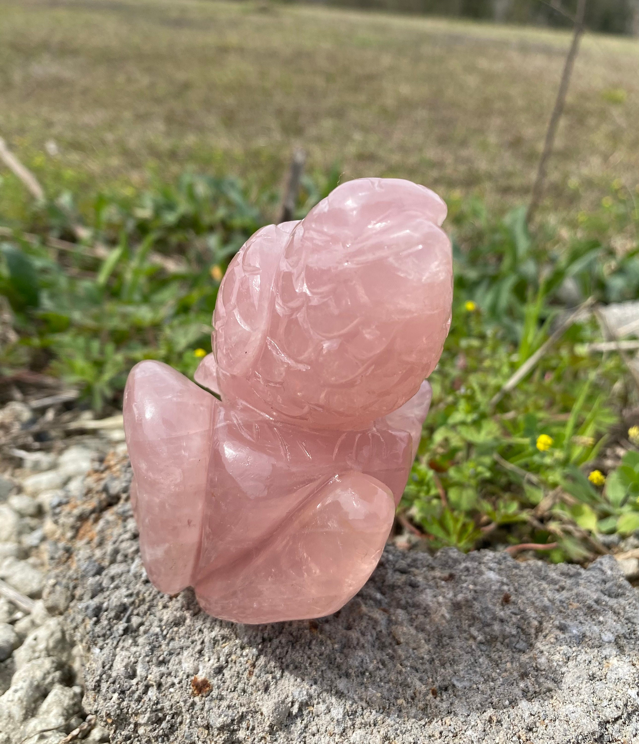 Unique Rose Quartz Natural Stone Bird Figurine - 574 Gms - Etsy