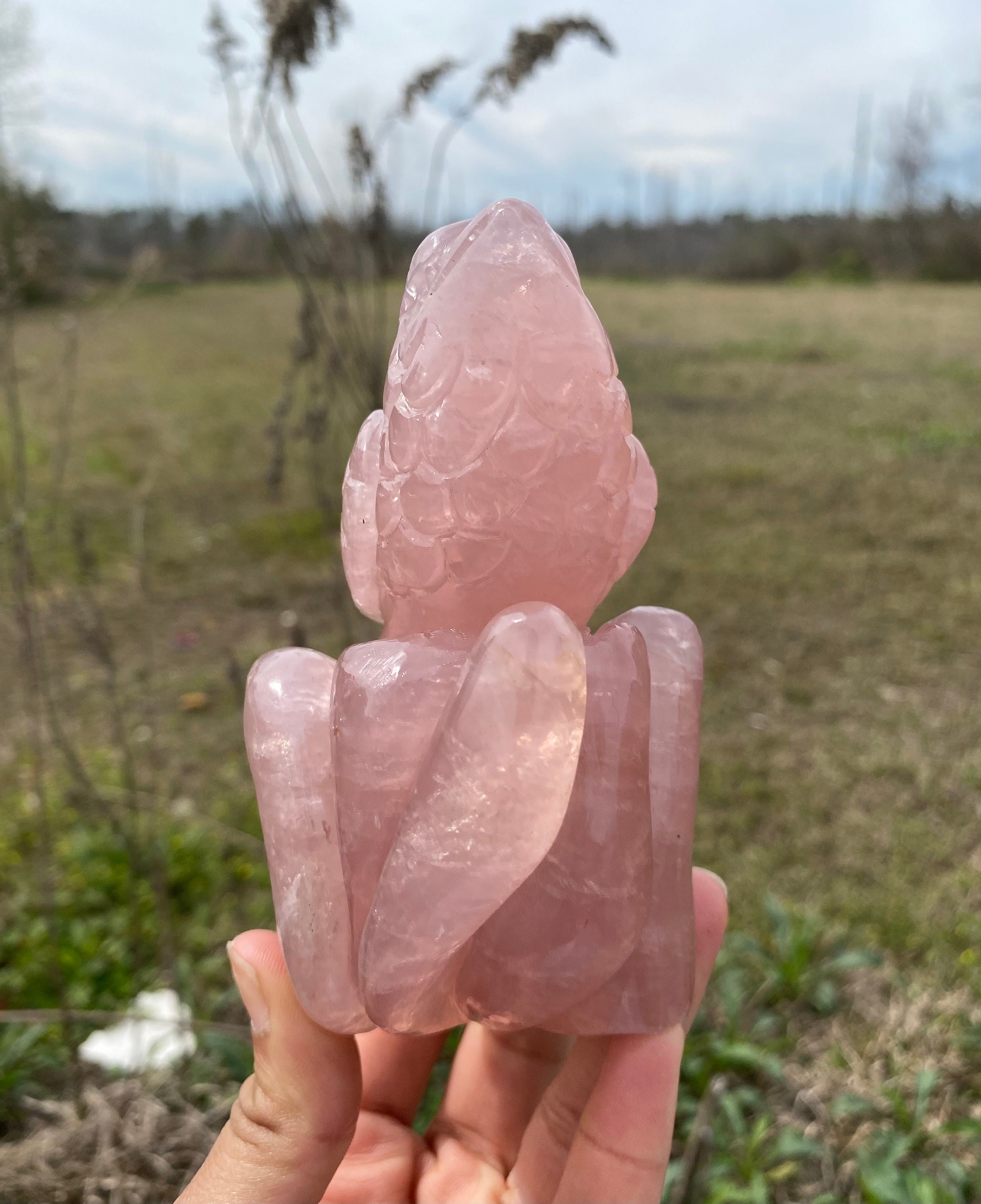 Unique Rose Quartz Natural Stone Bird Figurine 574 GMs | Etsy