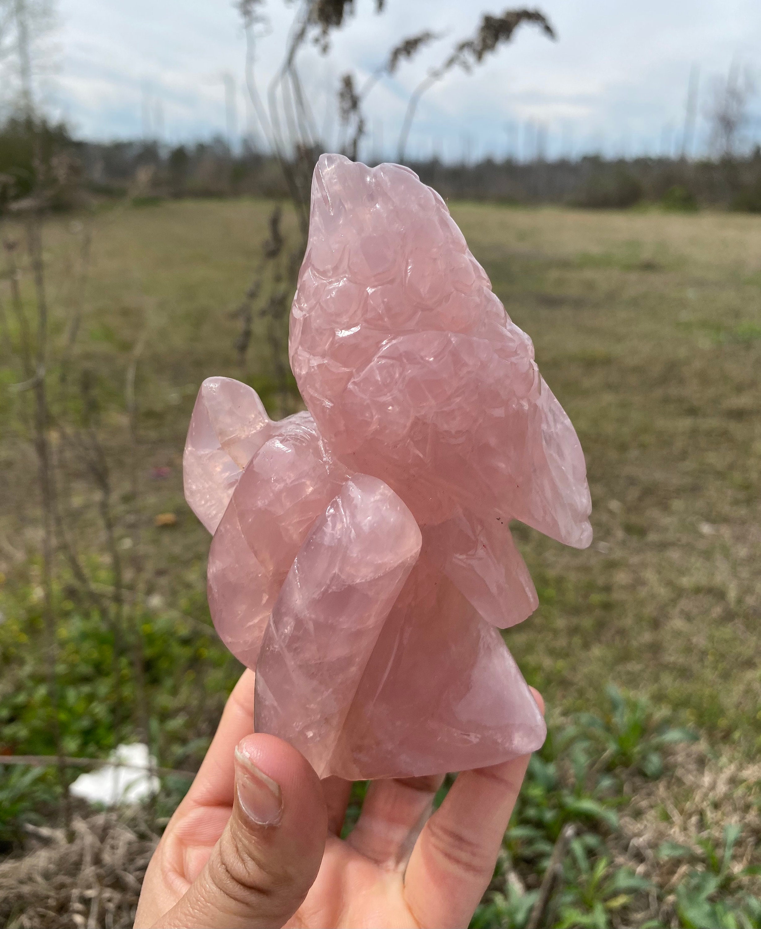 Unique Rose Quartz Natural Stone Bird Figurine 574 GMs | Etsy